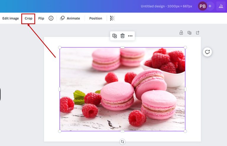 Mastering the Art of Image Editing: How to Erase Part of an Image in Canva
